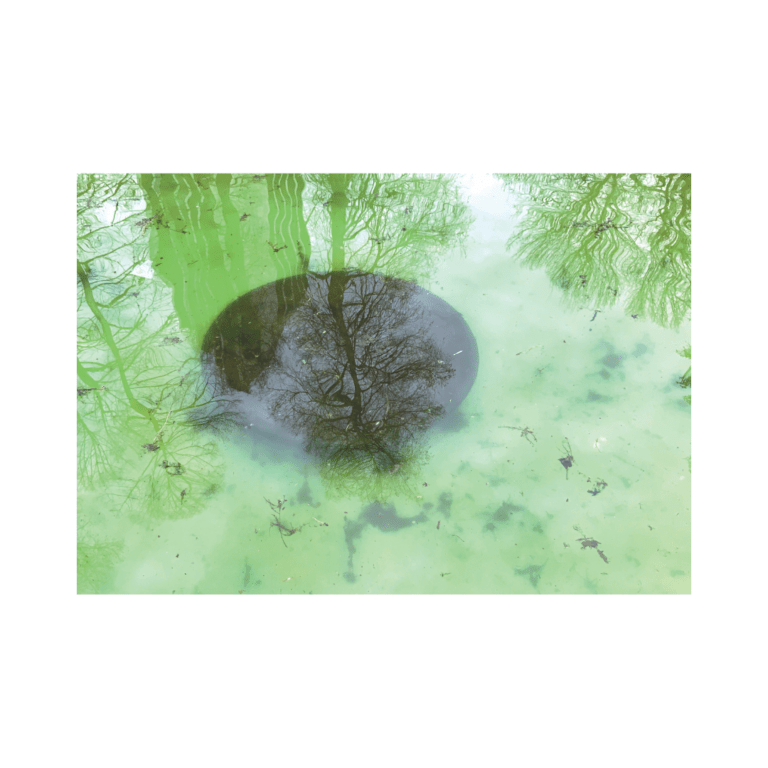 Katrin Kaev "Peegeldused II" - Artrovert | kaasaegse kunsti galerii