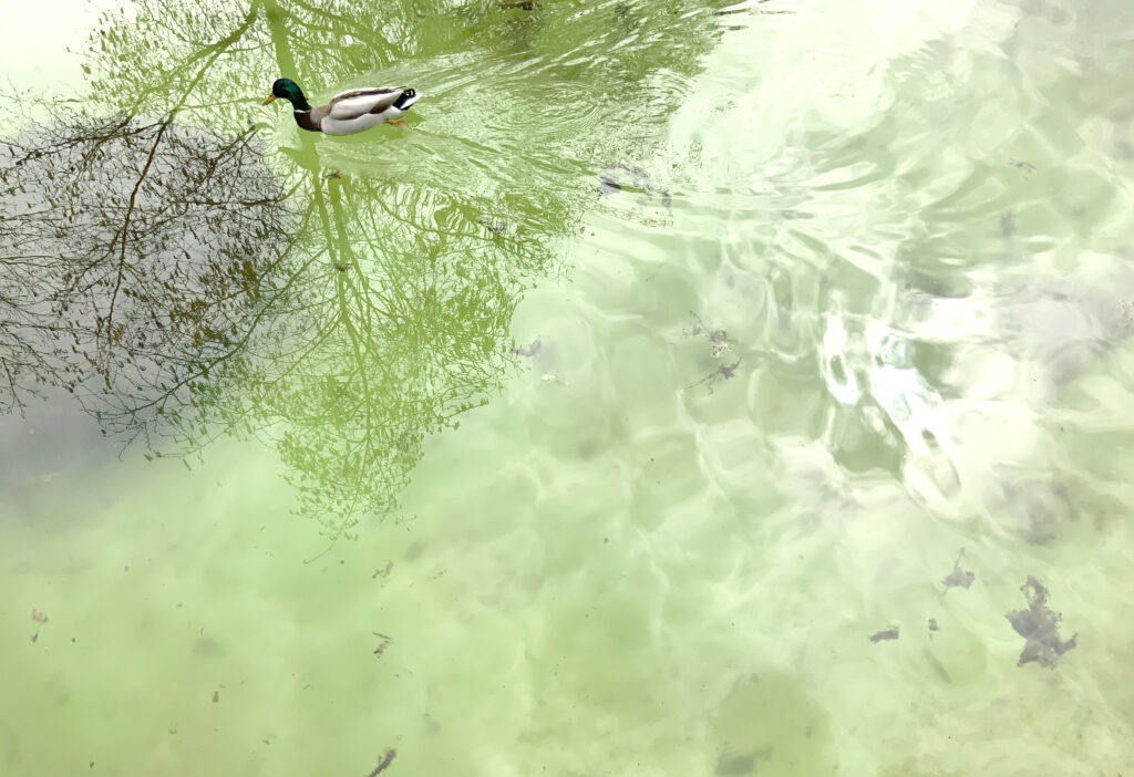 Katrin Kaev "Reflections III" - Artrovert | contemporary art gallery